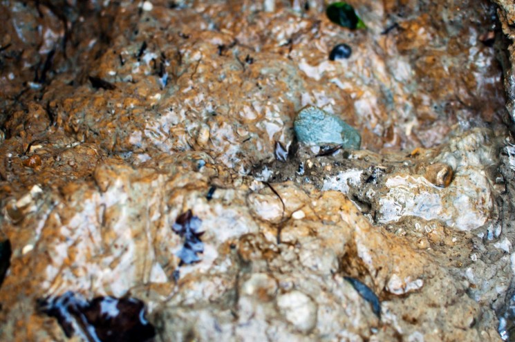 Trickling stream, Highwoods Country Park, 2016 - Essex Sounds